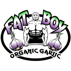 FatBoy Organic Garlic | Wholesale Garlic Seeds | Bulk Garlic Bulbs